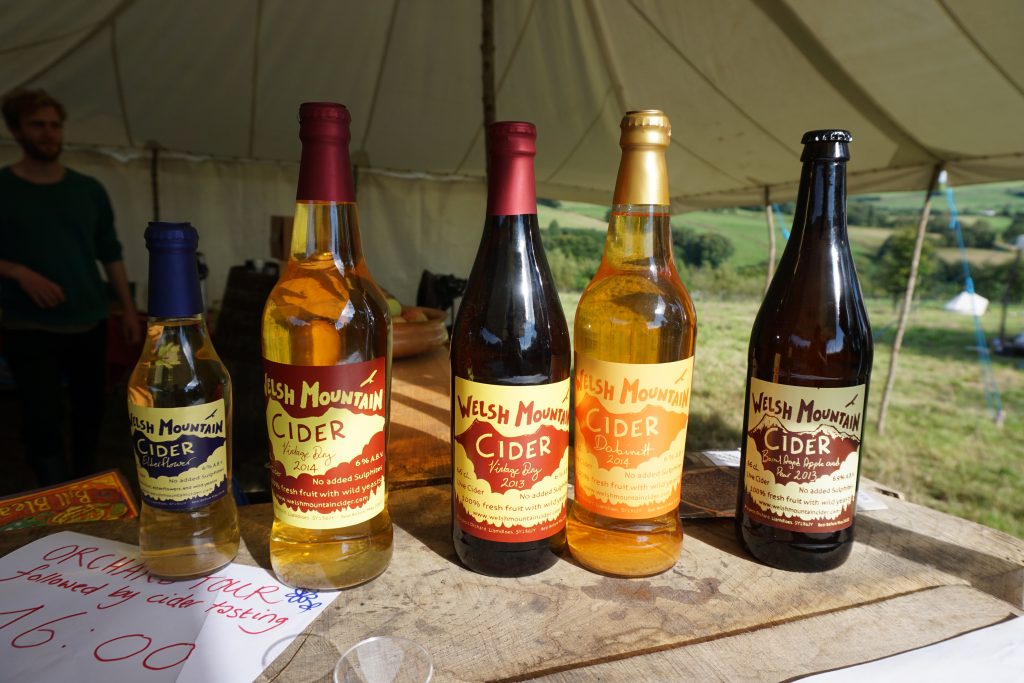 Stallholder Spotlight: Welsh Mountain Cider - Abergavenny Food Festival