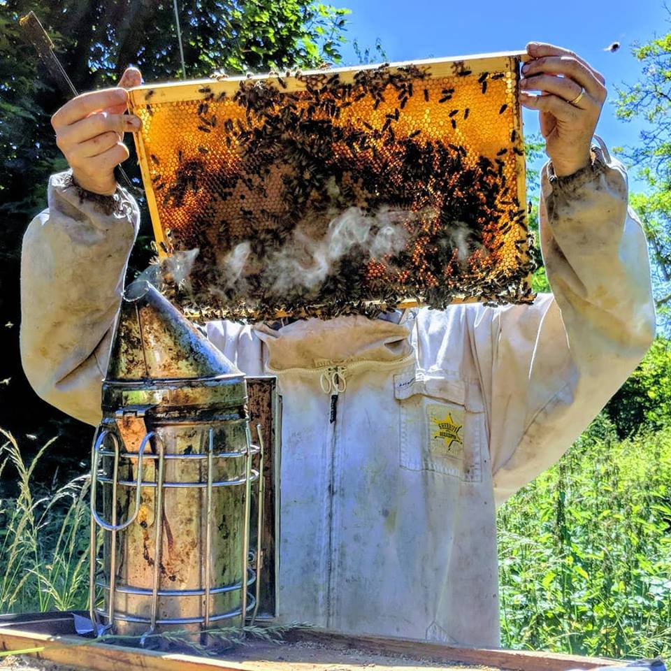 Shake the hand that feeds you: Wye Valley Meadery - Abergavenny Food ...